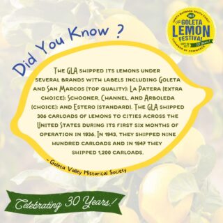 Goleta Lemon Festival